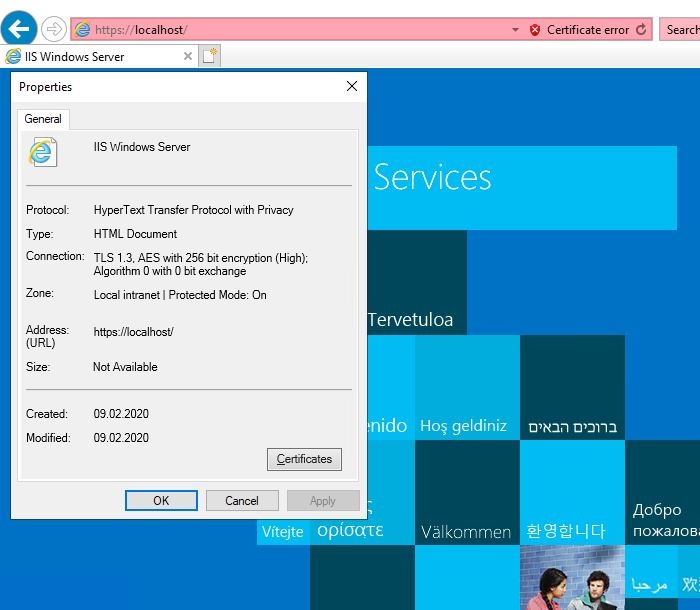 TLS1.3 in Windows? - Jans Cloud